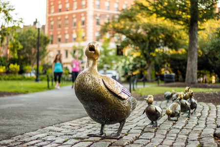 Does It Walk Like a Duck? | Stormont Capital Advisors